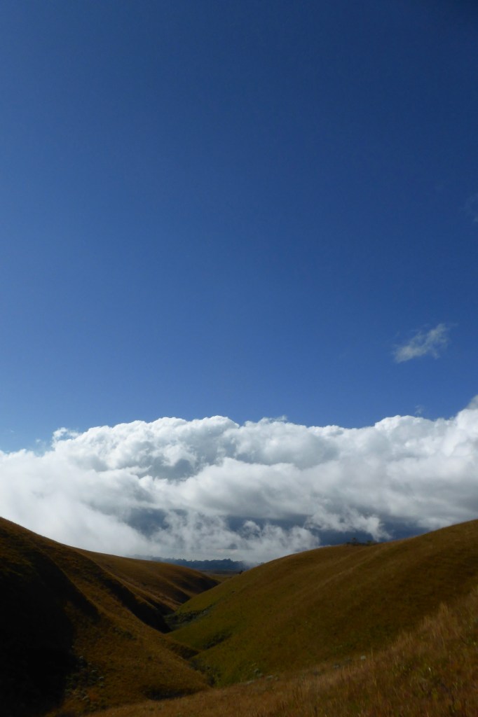 Kitulo – MrKremerScience.com