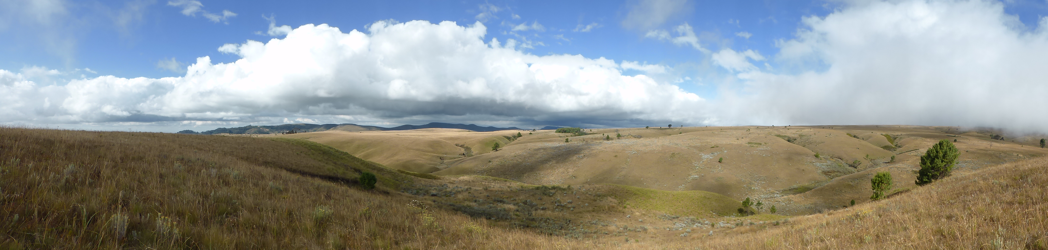 Kitulo – MrKremerScience.com